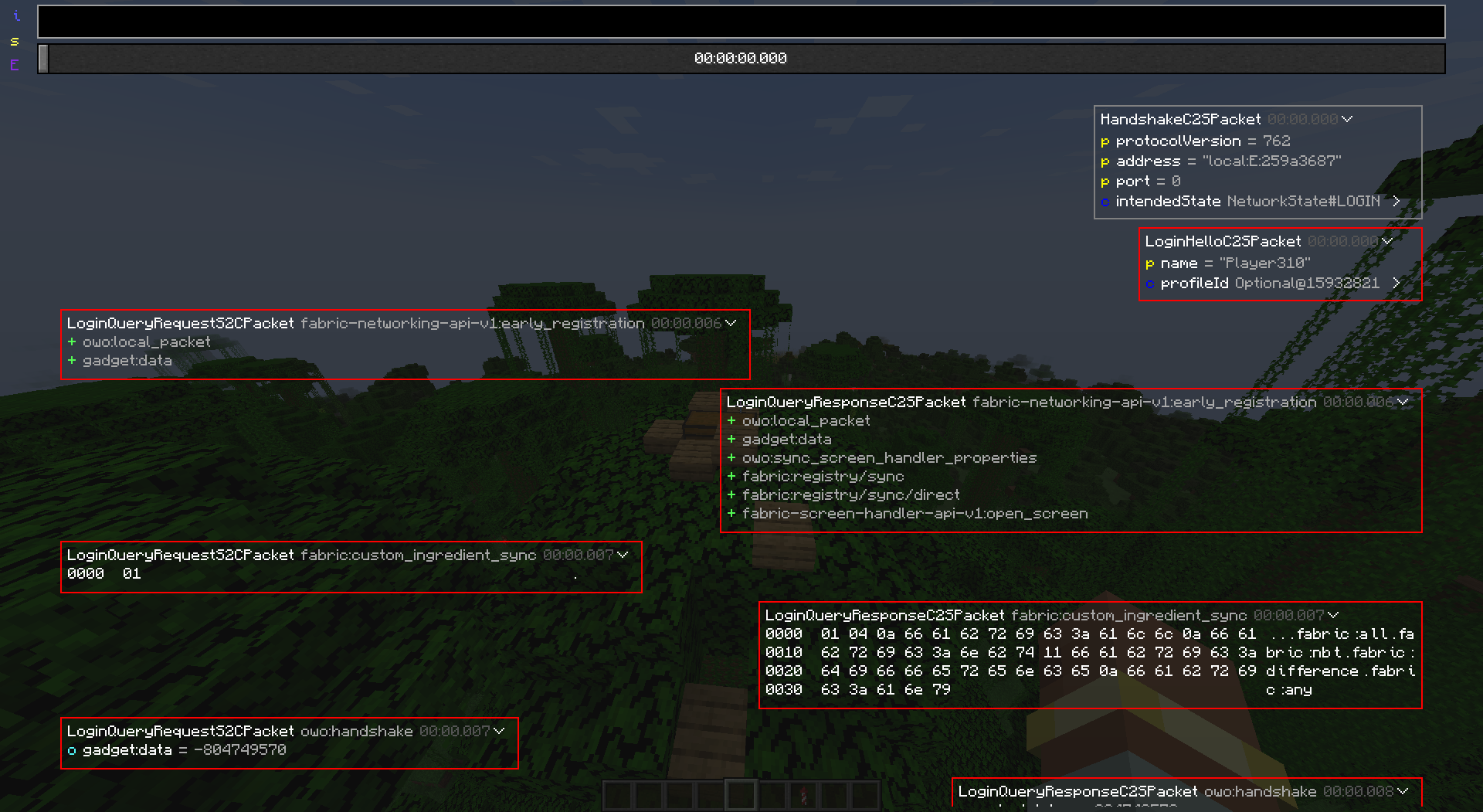 Packet Dumping - Wisp Forest Docs